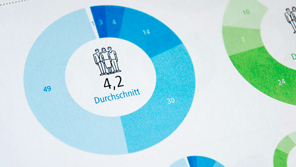 Donut Chart | Data Viz Project
