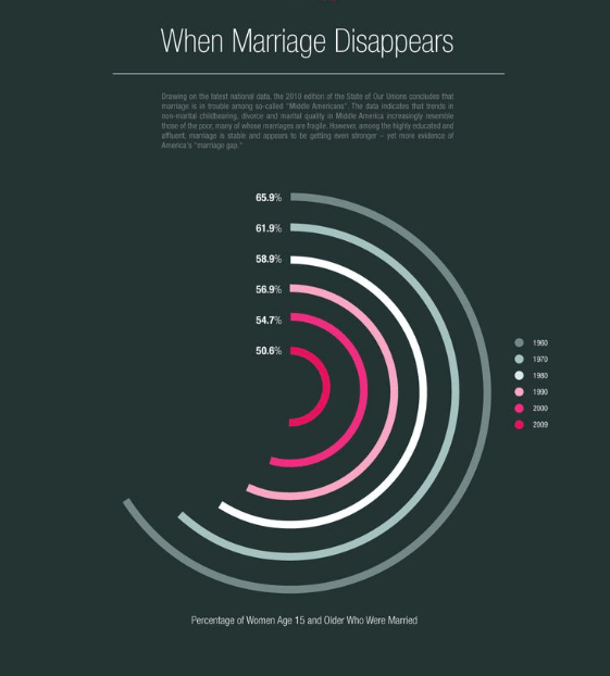 Radial Bar Chart | Data Viz Project
