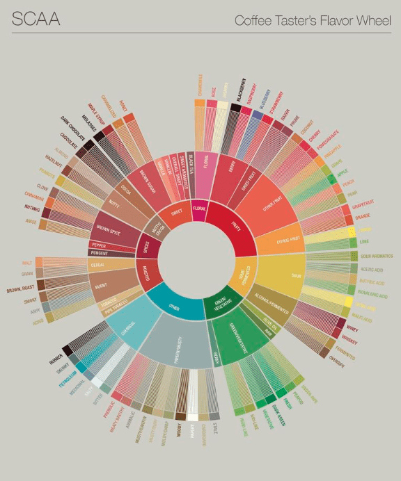 Sunburst Diagram | Data Viz Project