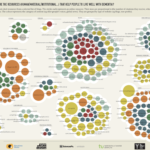 Clustered Force Layout | Data Viz Project