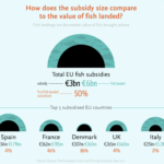 Nested Proportional Area Chart | Data Viz Project