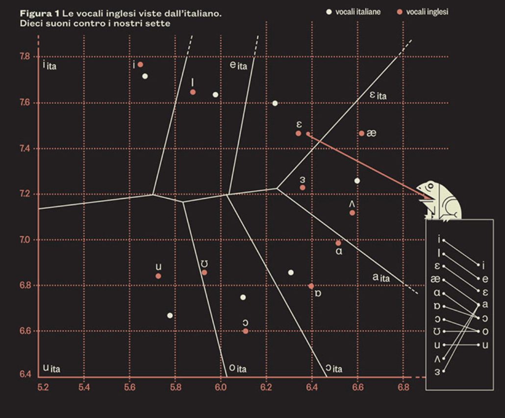 Scatter Plot | Data Viz Project