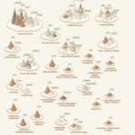 Triangle Bar Chart | Data Viz Project
