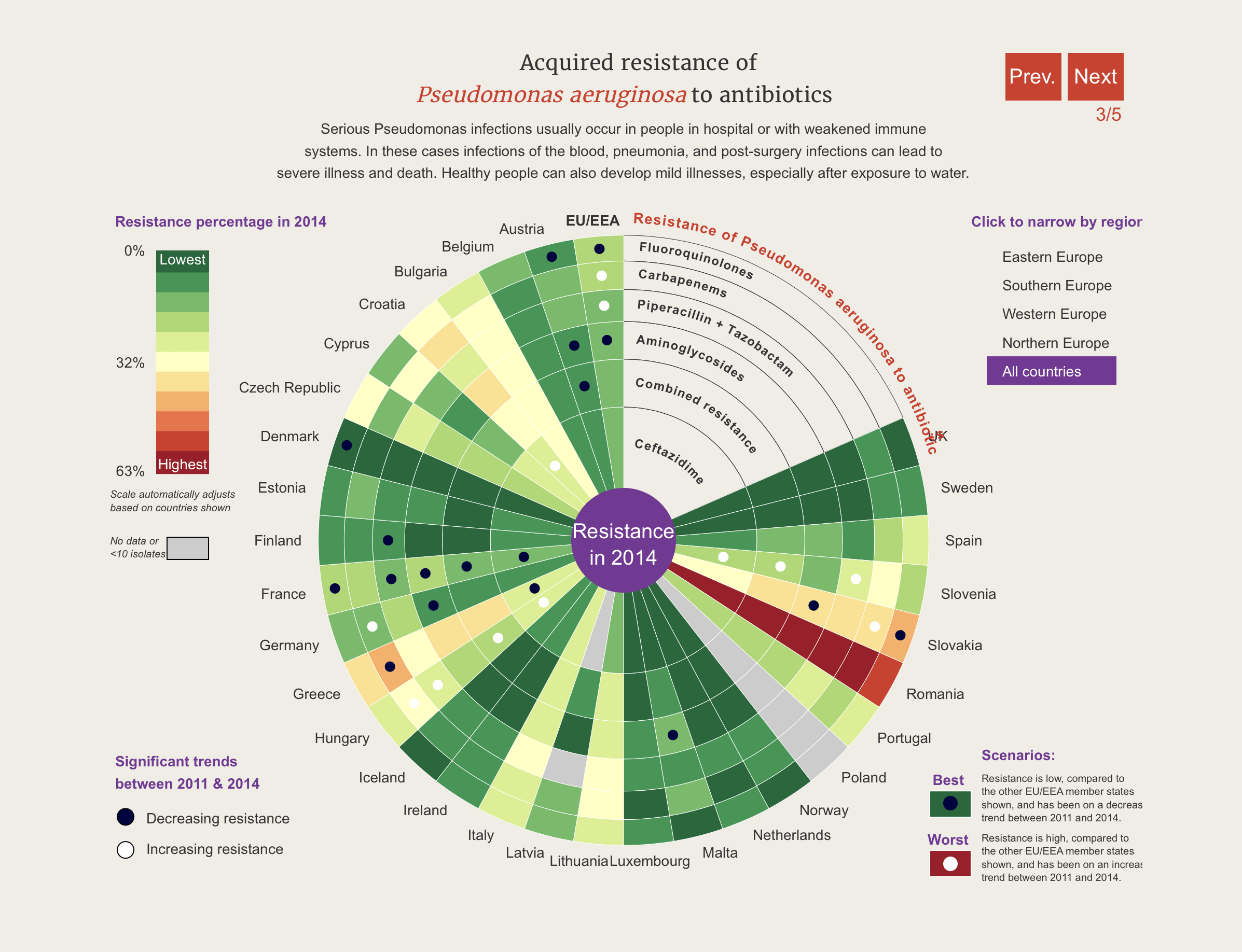 Circular Heat Map | Data Viz Project