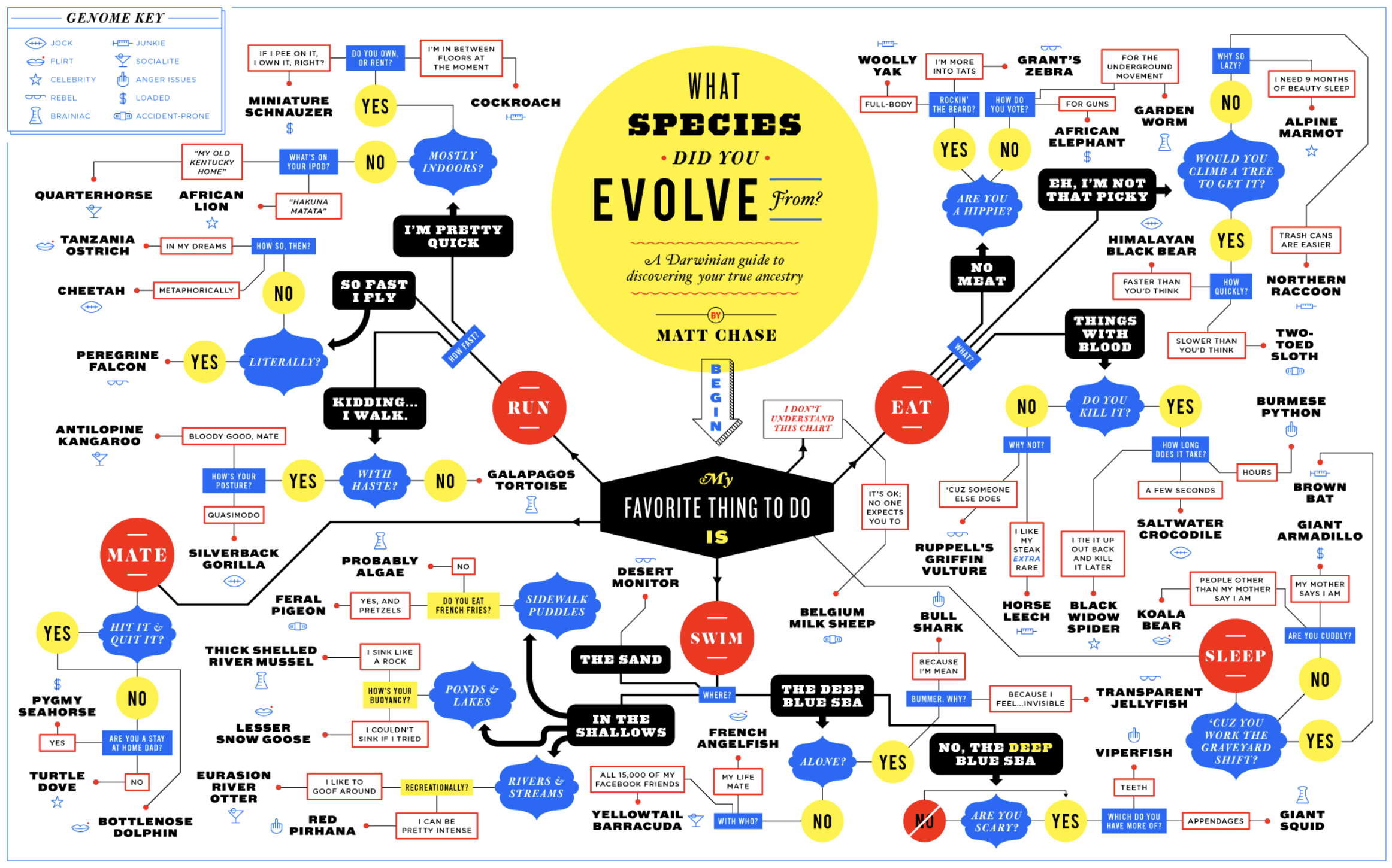 Flow Chart | Data Viz Project