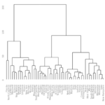 Dendrogram | Data Viz Project