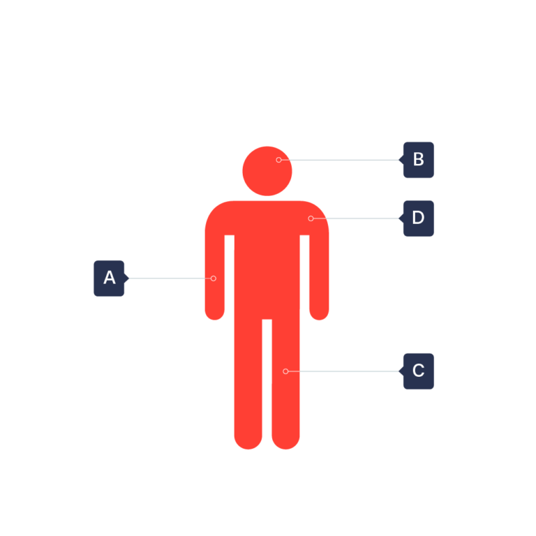 Illustration Diagram | Data Viz Project